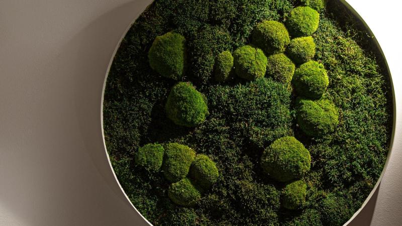 Presse - Wildes Moos